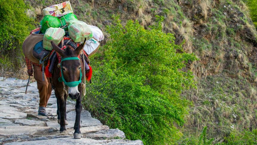 Twenty unique modes of transportation that will leave you speechless!